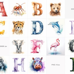 Animals Babyshower Alphabet Clipart Bundles Transparent PNG - Etsy