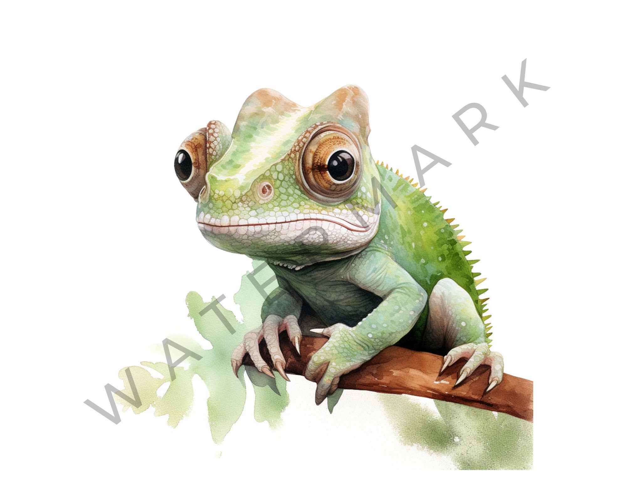 Reptiles Clipart Bundle Turtle Clipart Snake Chameleon Bearded - Etsy