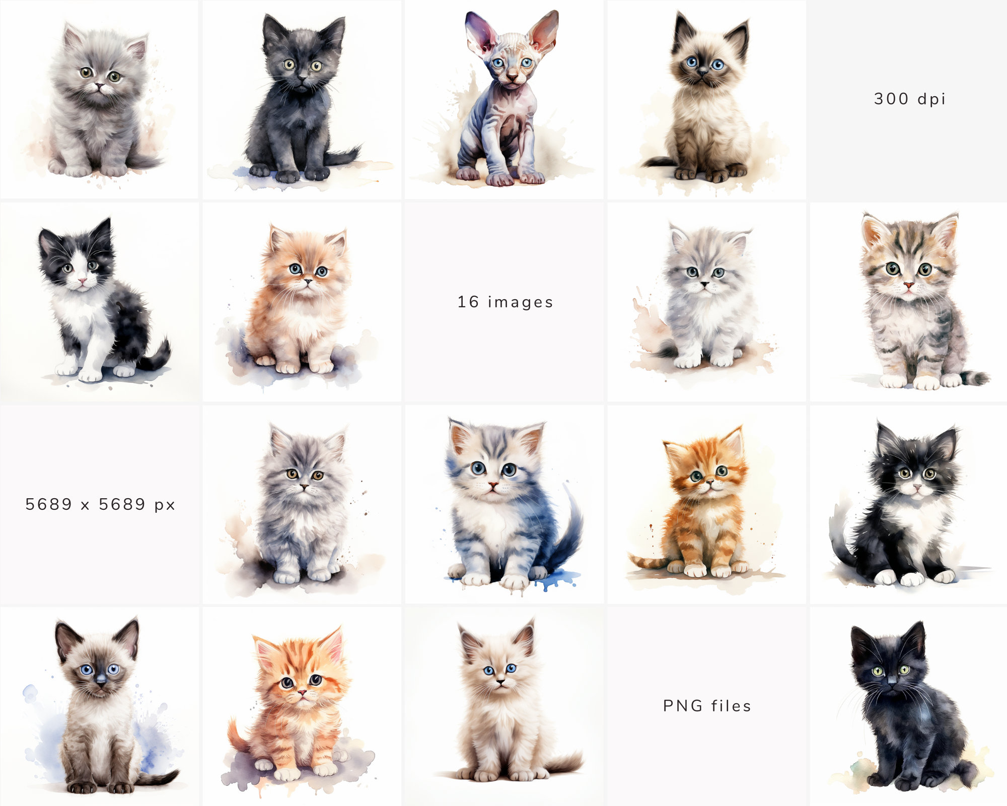 Cat Clipart Bundle Cute Pets Party Theme PNG Sublimation Designs Baby ...