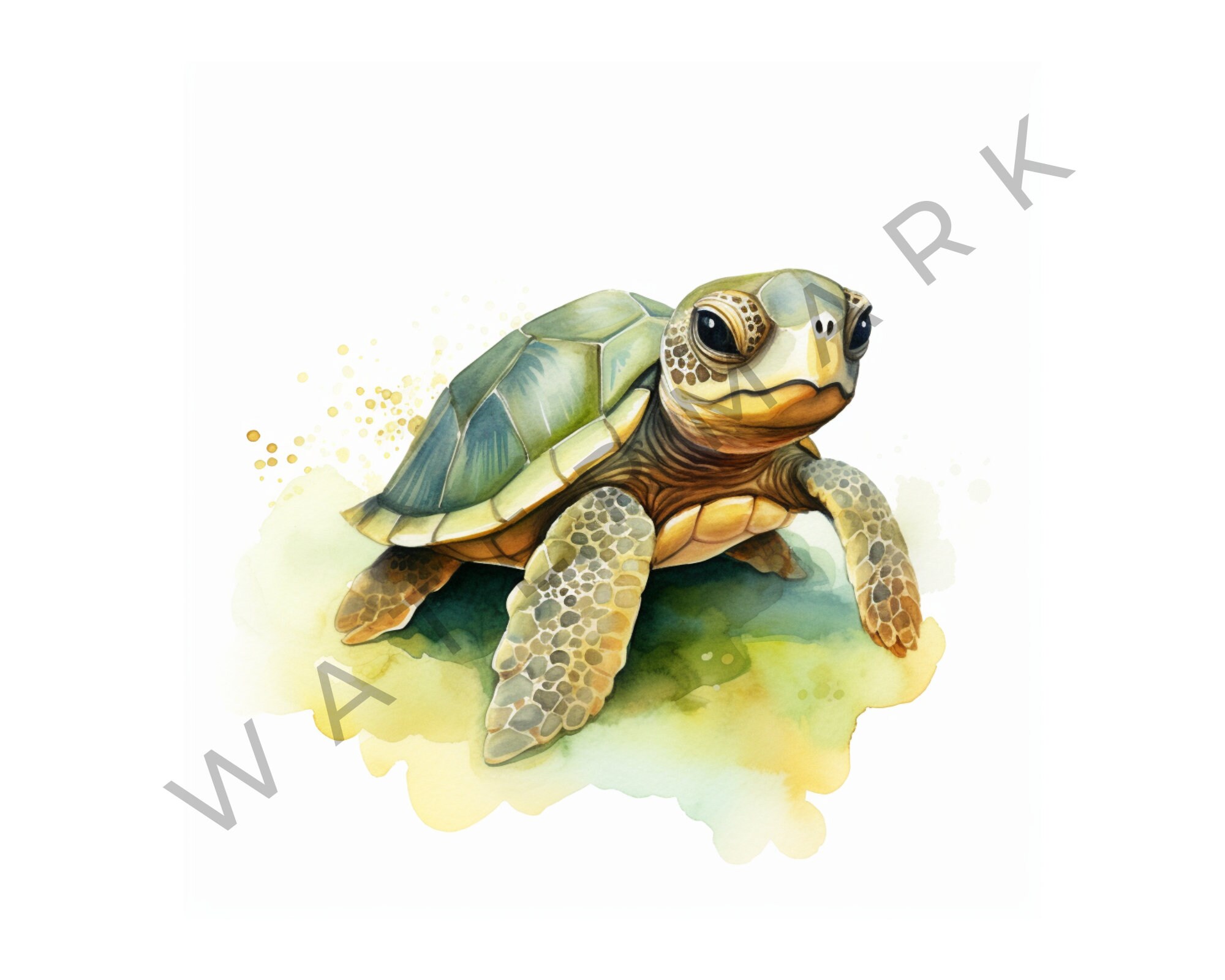 Reptiles Clipart Bundle Turtle Clipart Snake Chameleon Bearded - Etsy