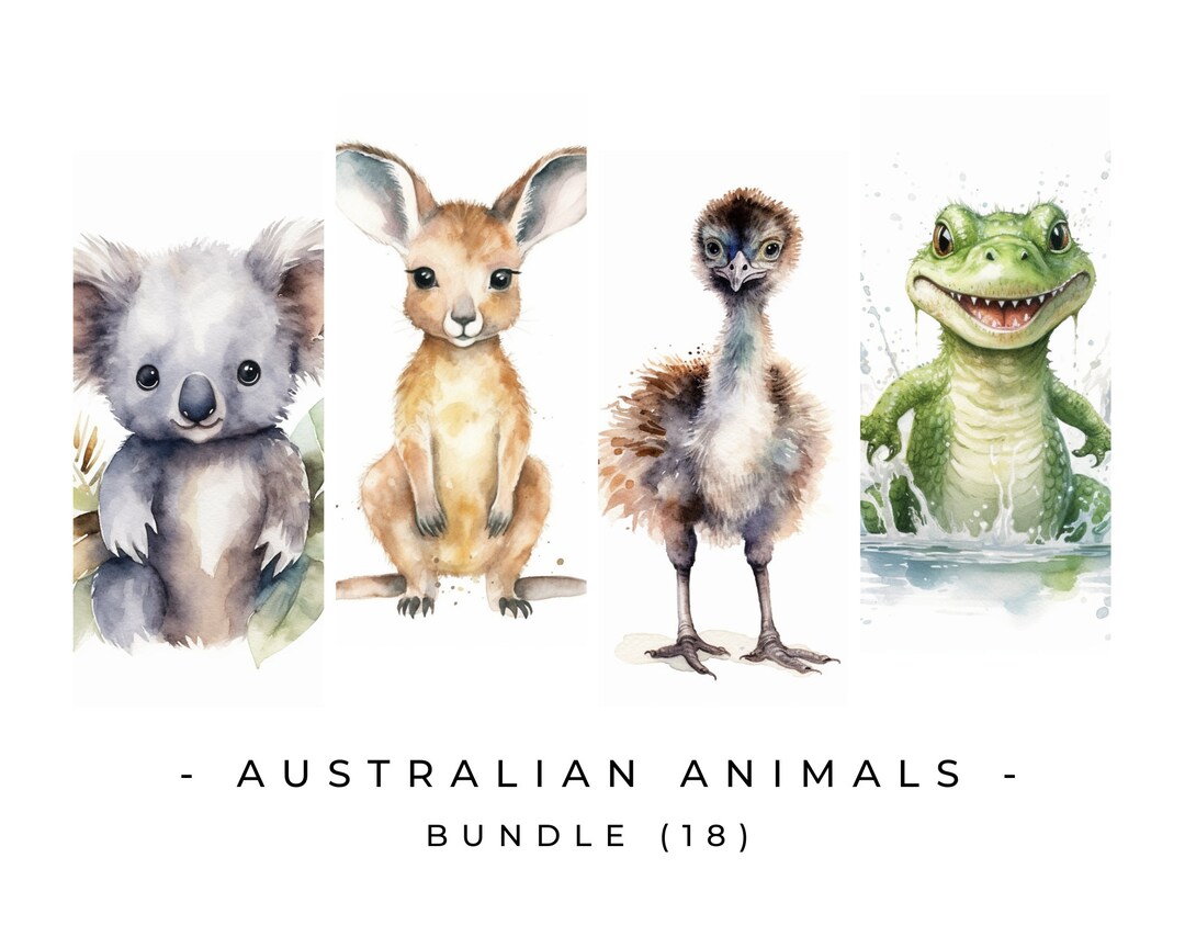 Australian Animals Clipart Bundle Baby Animals Clipart PNG Nursery ...