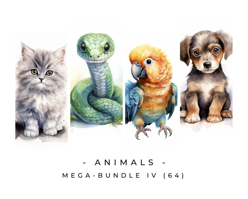 Animals Baby Shower Clipart Mega Bundle Kids Birthday Theme Transparent ...