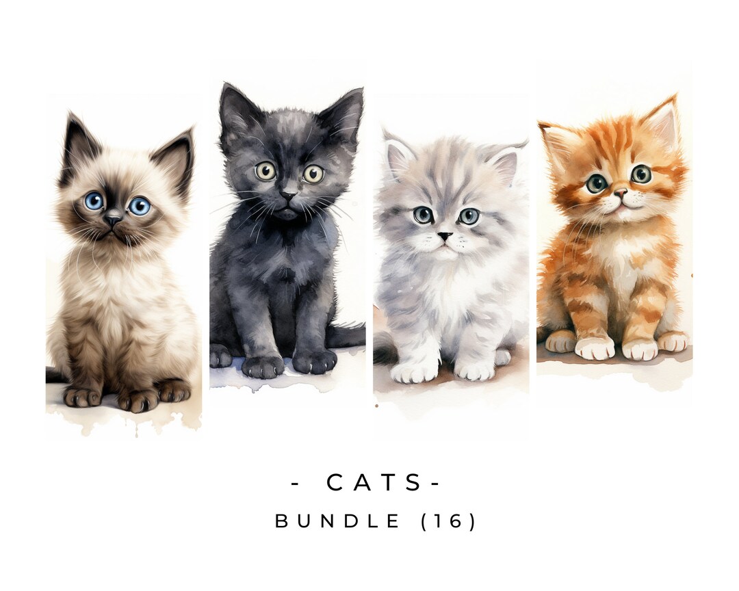 Cat Clipart Bundle Cute Pets Party Theme PNG Sublimation Designs Baby ...