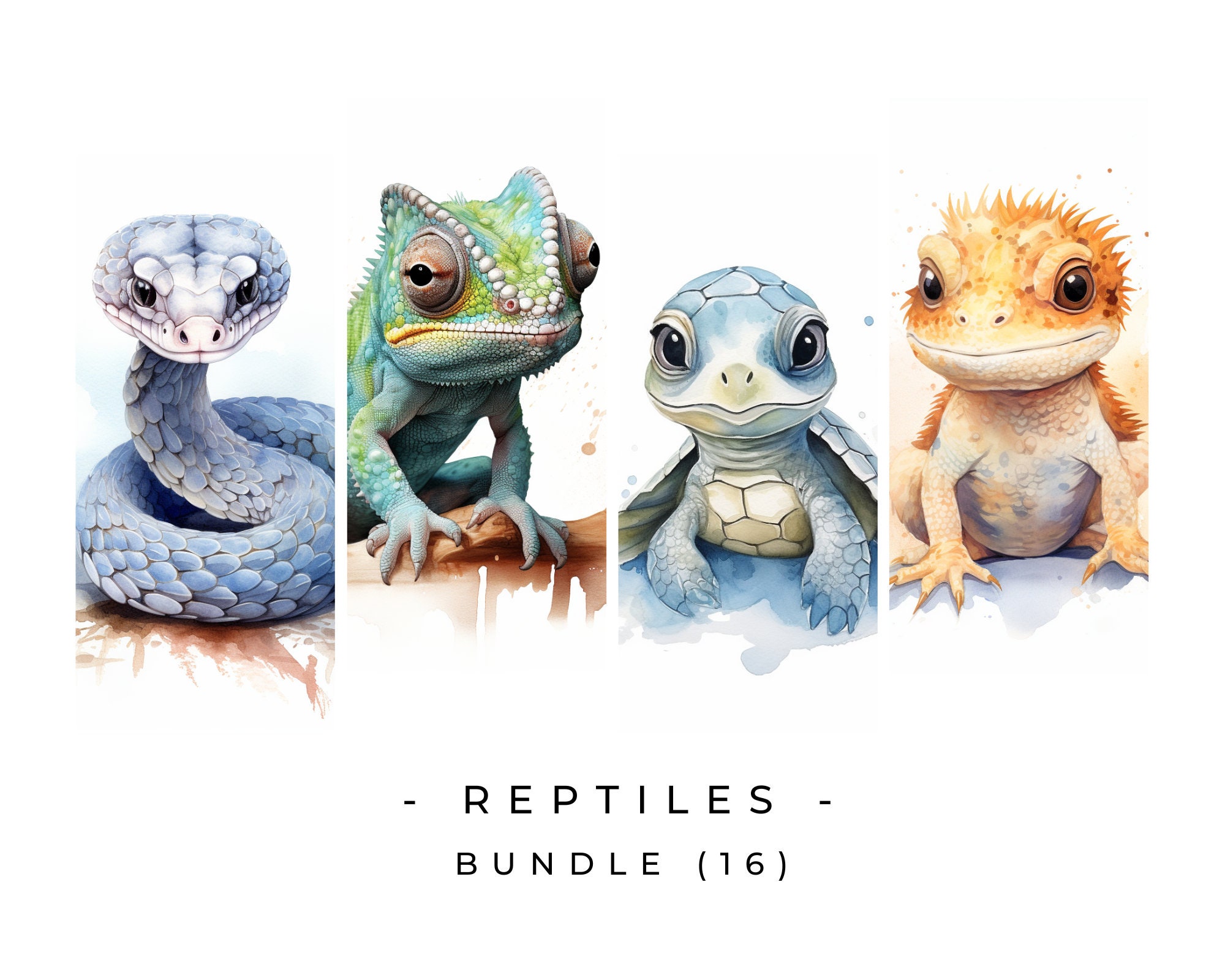 Reptiles Clipart Bundle Turtle Clipart Snake Chameleon Bearded - Etsy