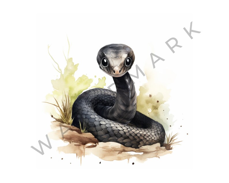 Reptiles Clipart Bundle Turtle Clipart Snake Chameleon Bearded - Etsy
