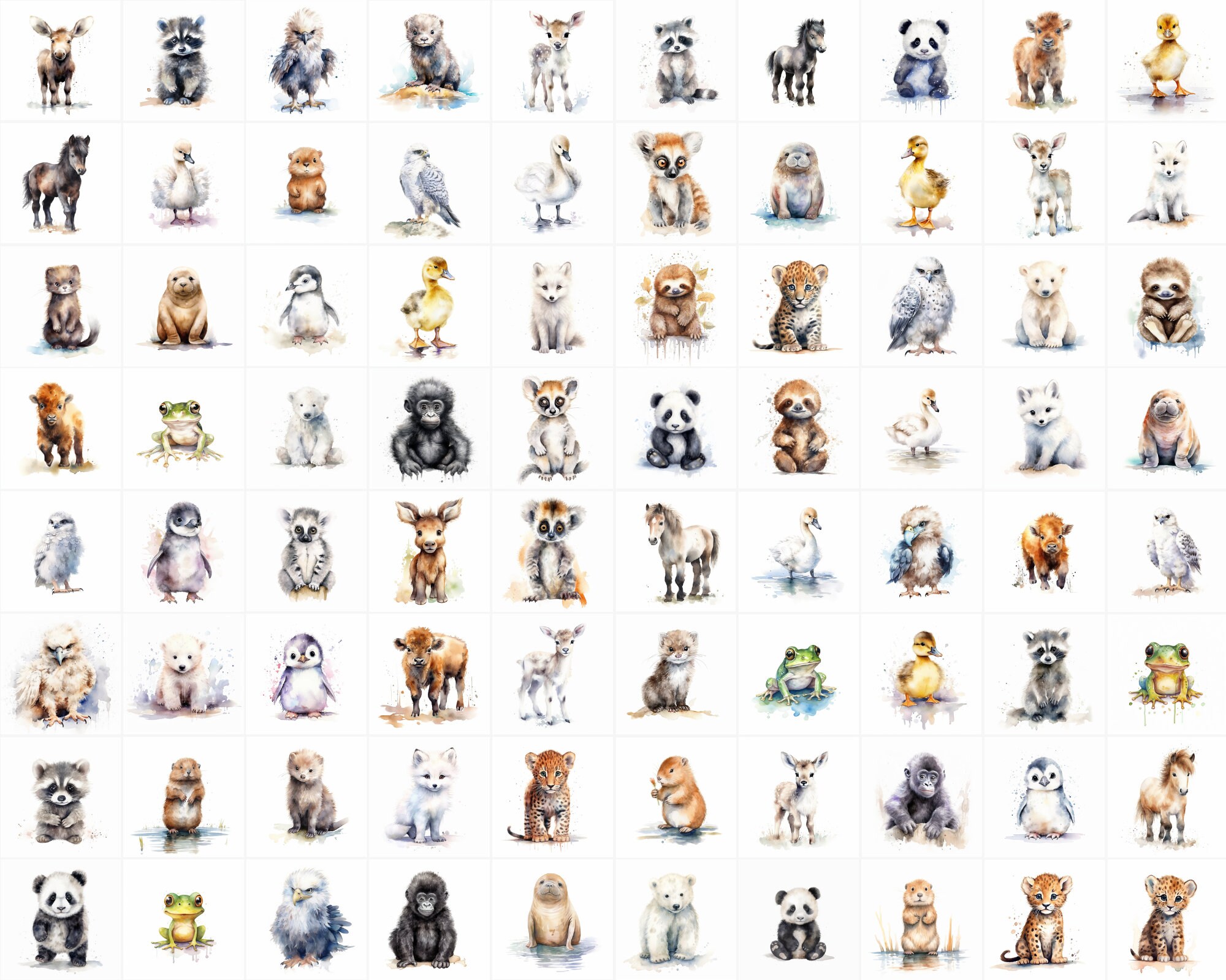 Sublimation Designs Animals Baby Shower Clipart Mega Bundle Transparent ...