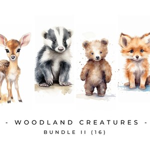 Woodland Animals Clipart Bundle Transparent PNG Nursery Clipart ...