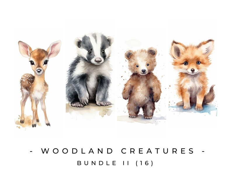 Woodland Animals Clipart Bundle Transparent PNG Nursery Clipart ...