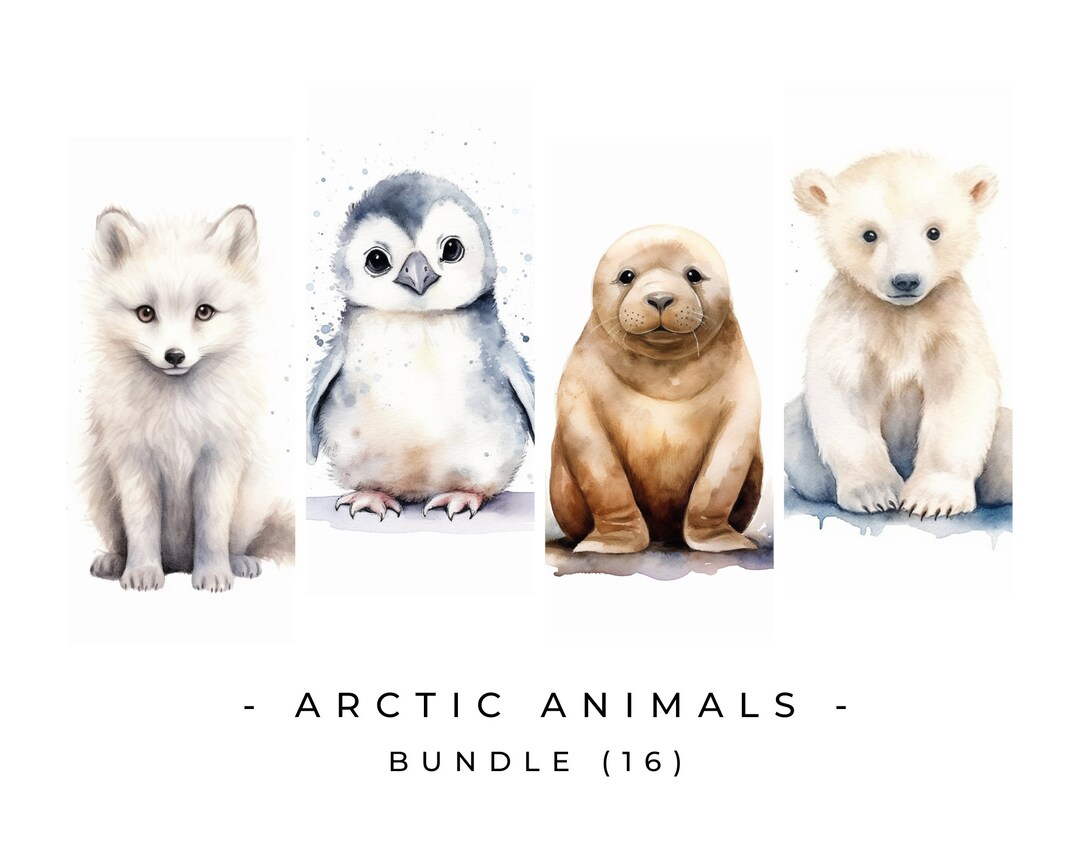 Sublimation Designs Watercolor Animals Baby Shower Arctic Animals ...
