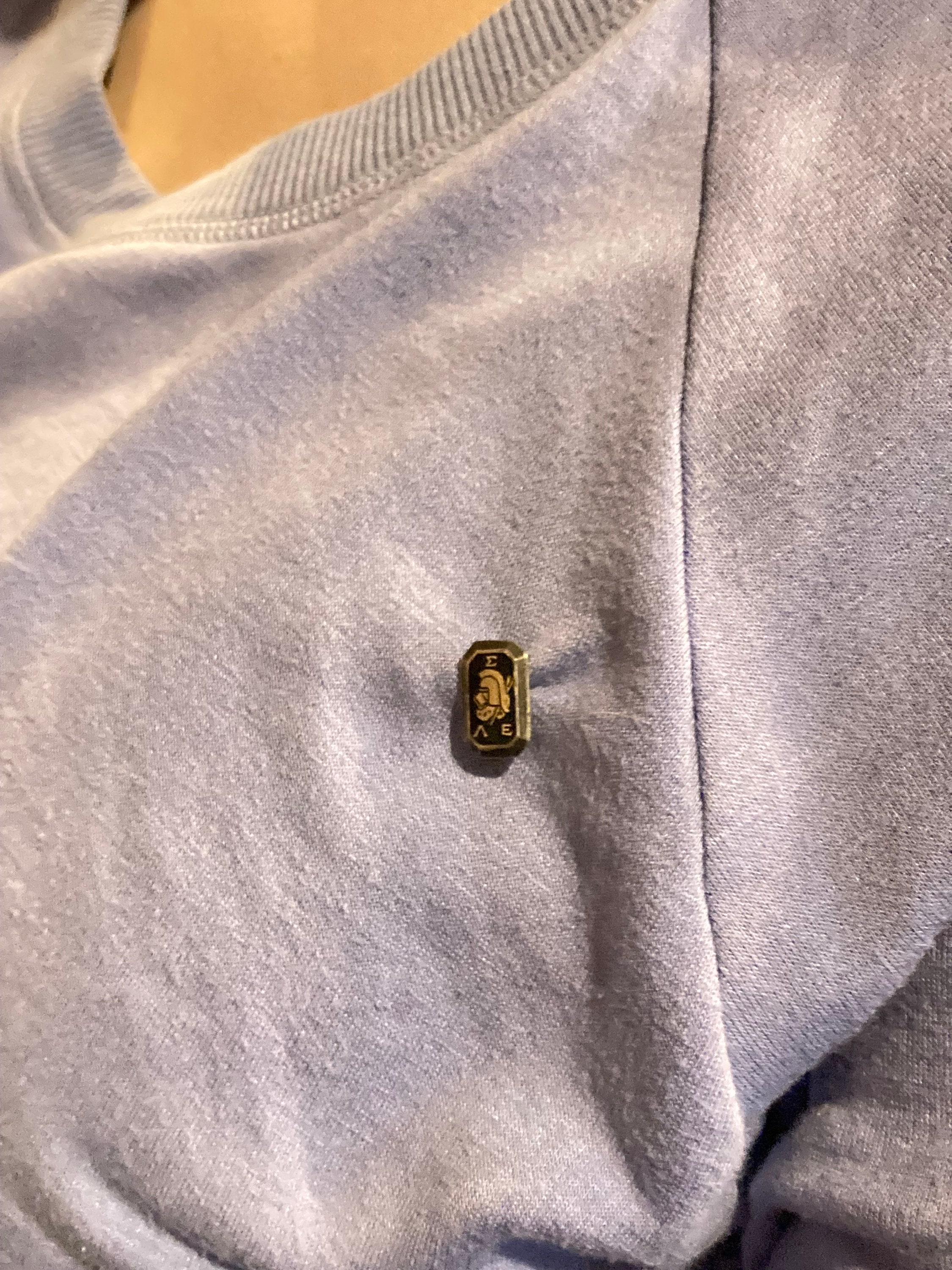 Sigma Lambda Epsilon Fraternity Pin 1/10 10kt Yellow Gold Filled - 1930 ...