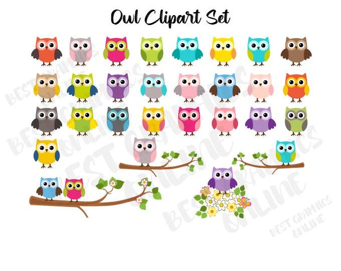 Owl Clipart Set, Cute Owl on a Branch Clipart, Rainbow Colors Owls Clip ...