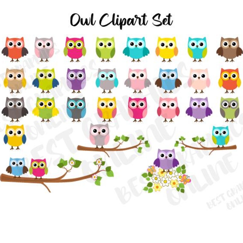 Cute Owls Clipart - Etsy