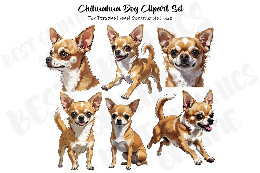 Chihuahua Clipart Set, Dog Pet Clipart, Dog Illustration, Chihuahua Dog ...
