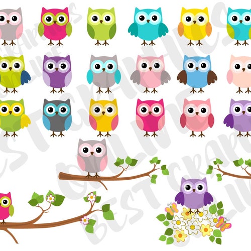 Owl Clipart Set Cute Owl on a Branch Clipart Rainbow Colors - Etsy