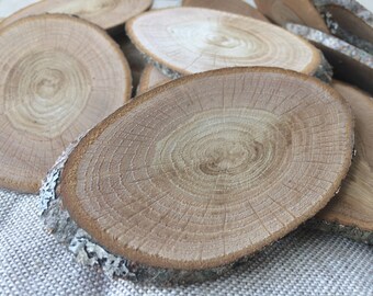 Oak tree slices | Etsy