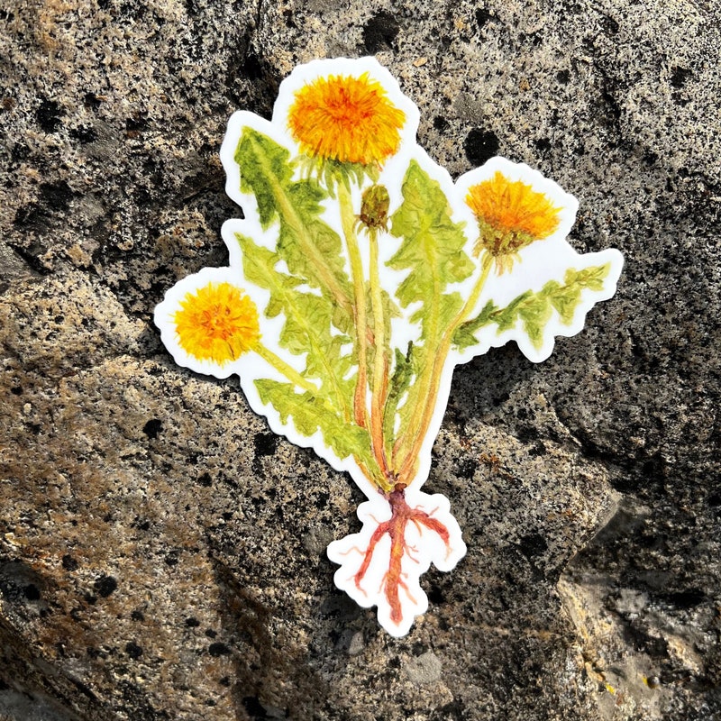Dandelion Stickers - Etsy