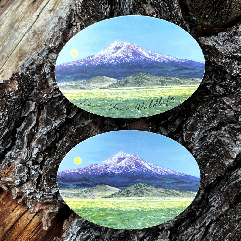 Mt.shasta Vinyl Sticker Waterproof Vinyl Decal Mountain - Etsy