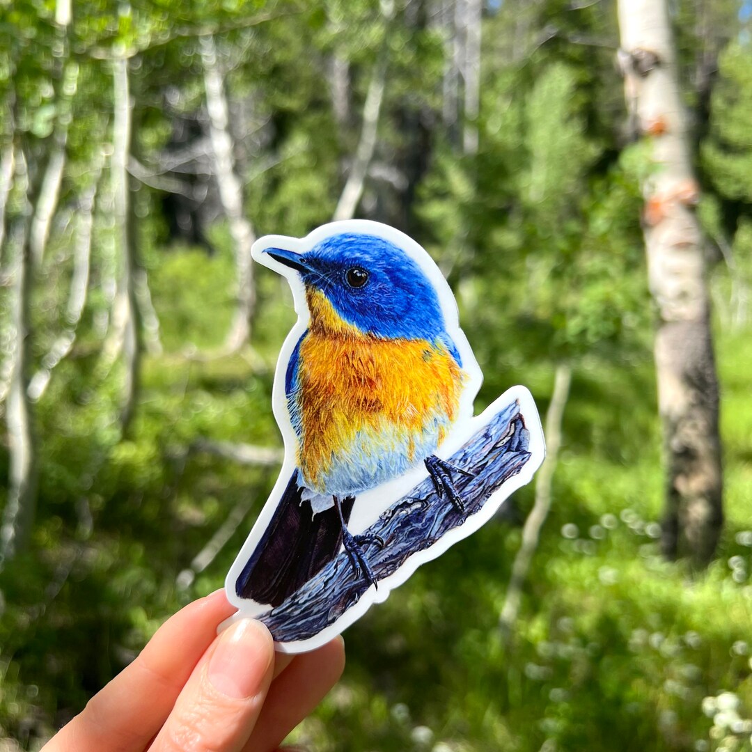 Flycatcher Sticker, Vinyl Sticker Decal, Bluebird Bird Sticker, Bird ...