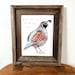 Quail Christian Art Print, You Are My Hiding Place Psalm 32 7, Wildlife ...
