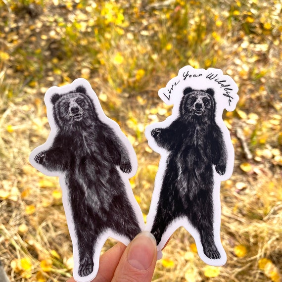 Black Bear Sticker Bear Vinyl Decal Waterproof Sticker Bear | Etsy