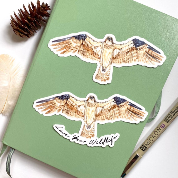 Osprey Sticker Vinyl Sticker Decal Bird Sticker Nature | Etsy