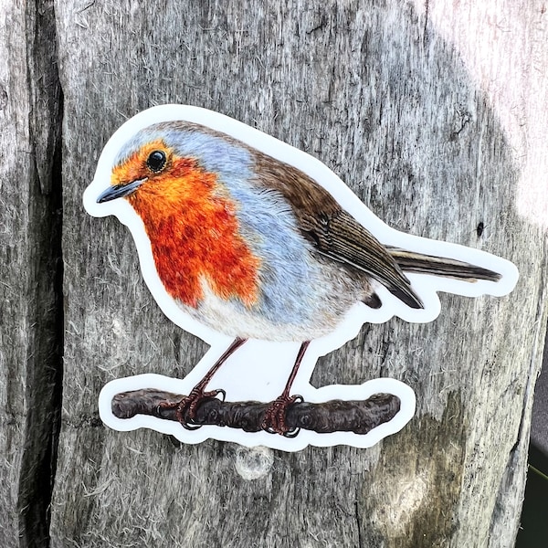 Robin Decal - Etsy