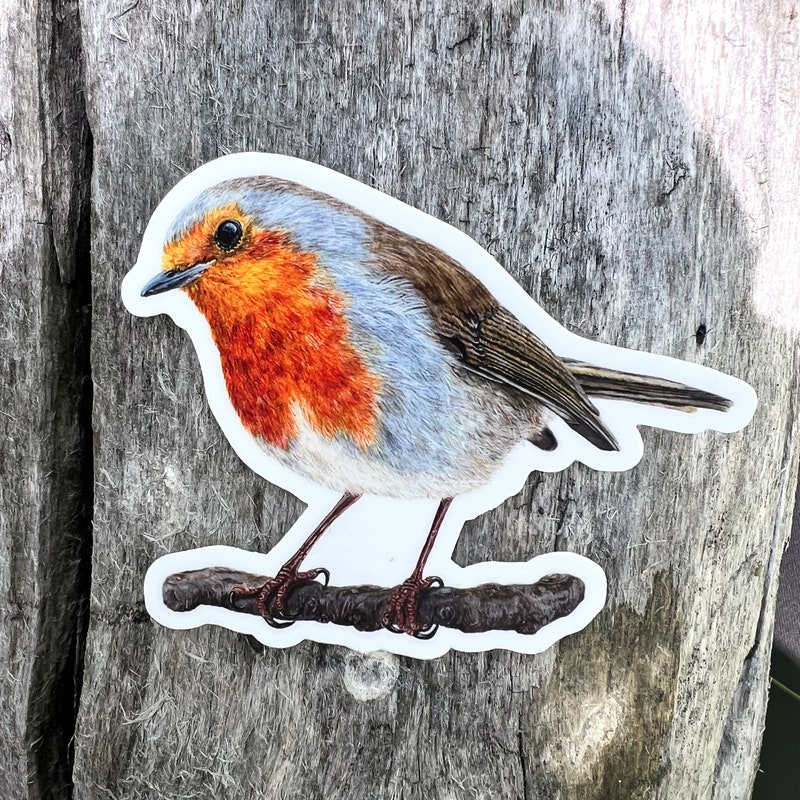 Robin Decal - Etsy