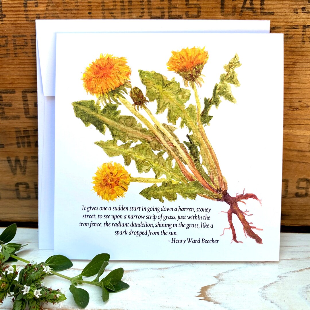 Dandelion Card, Henry Ward Beecher Dandelion Quote, Botanical ...