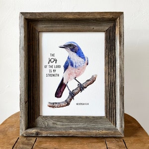 Scrub Jay Bird Bible Verse Art Print, the Joy of the Lord is My ...