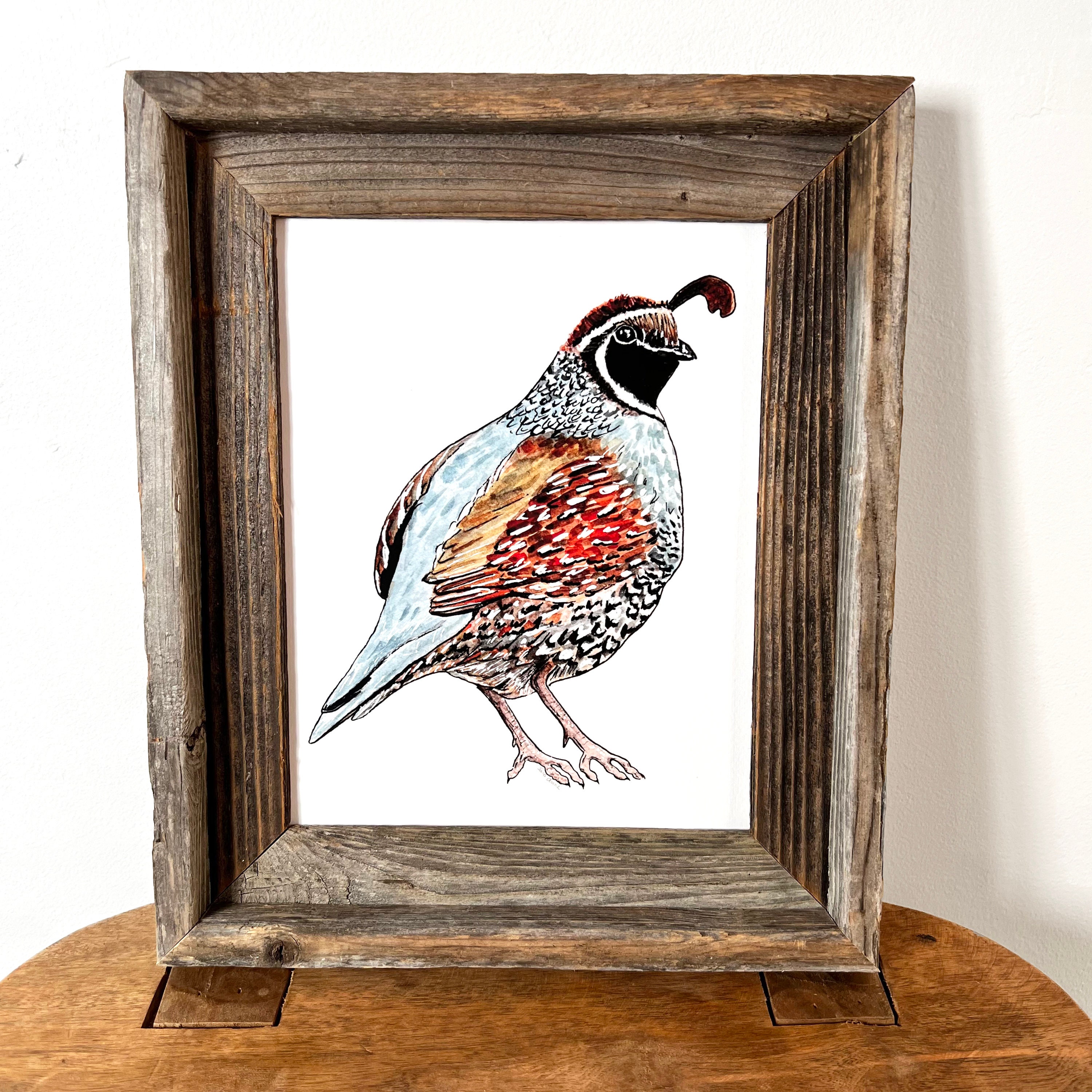 Quail Fine Art Print, Watercolor Nature Print, Bird Print, Wall Art ...