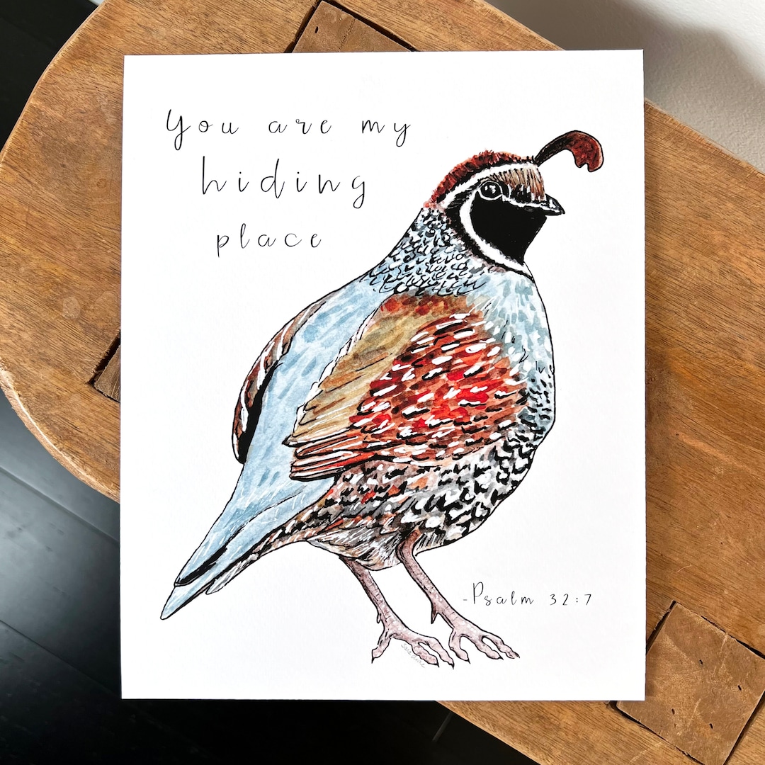 Quail Christian Art Print, You Are My Hiding Place Psalm 32 7, Wildlife ...