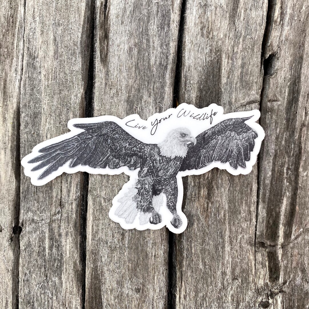 Bald Eagle Sticker, Vinyl Sticker Decal, Bird Sticker, Nature Lover ...
