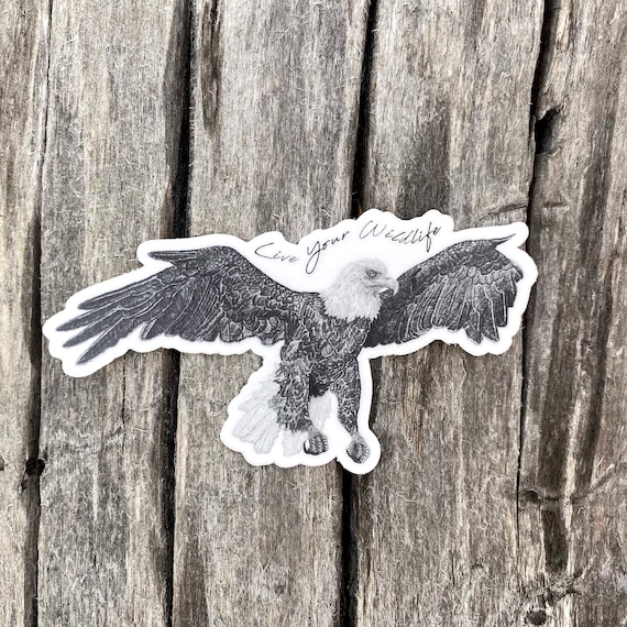 Bald Eagle Sticker Vinyl Sticker Decal Bird Sticker Nature - Etsy Australia