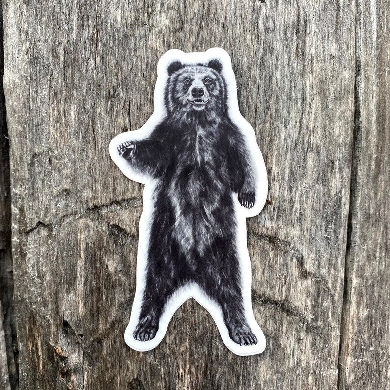 Black Bear Sticker Bear Vinyl Decal Waterproof Sticker Bear | Etsy