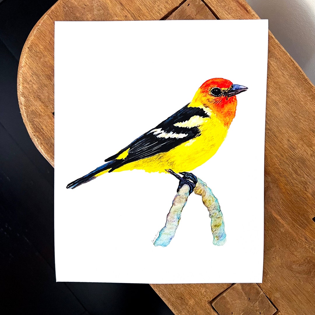 Western Tanager Watercolor Bird Print, Bird Art, Wall Art Lake Home ...