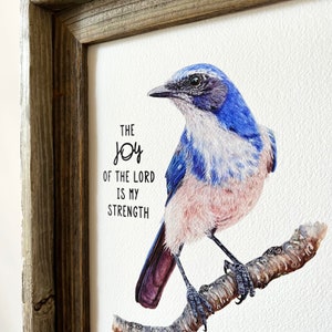 Scrub Jay Bird Bible Verse Art Print, the Joy of the Lord is My ...