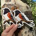 Spotted Towhee Sticker, Waterproof Vinyl Decal, Wildlife Laptop Sticker ...