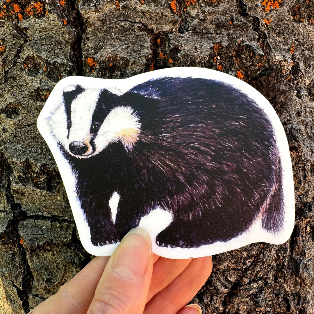 Badger Sticker, Waterproof Vinyl Decal, Wildlife Laptop Sticker, Badger ...