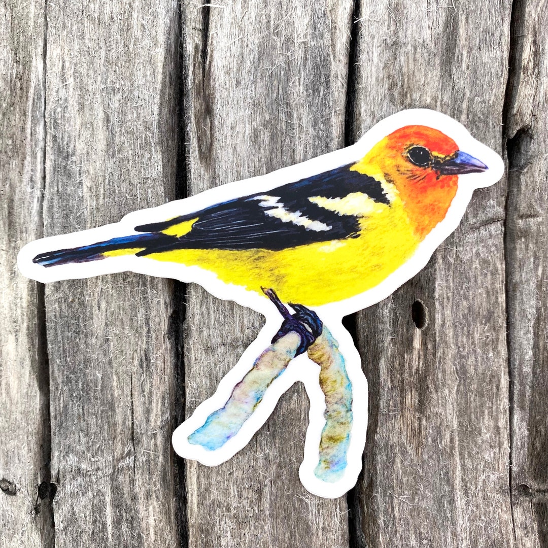 Western Tanager Sticker, Vinyl Sticker Decal, Bird Sticker, Bird Nerd ...