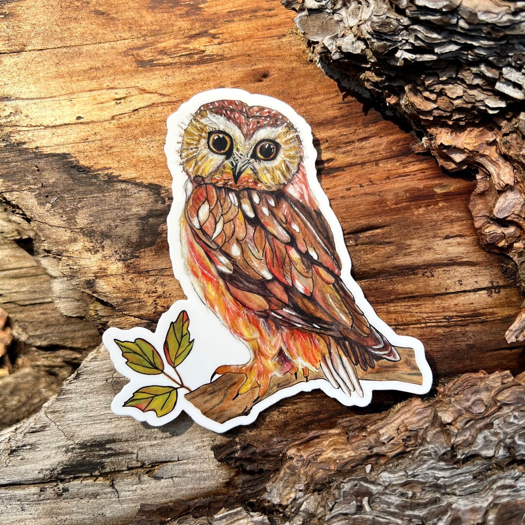 Owl Vinyl Sticker, Owl Waterproof Vinyl Decal, Nature Lover Gift ...