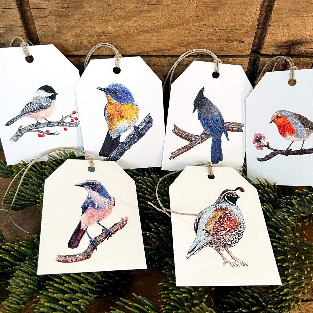 Bird Gift Tags, Luxury Gift Tags, Large Gift Tags for All Occasions ...