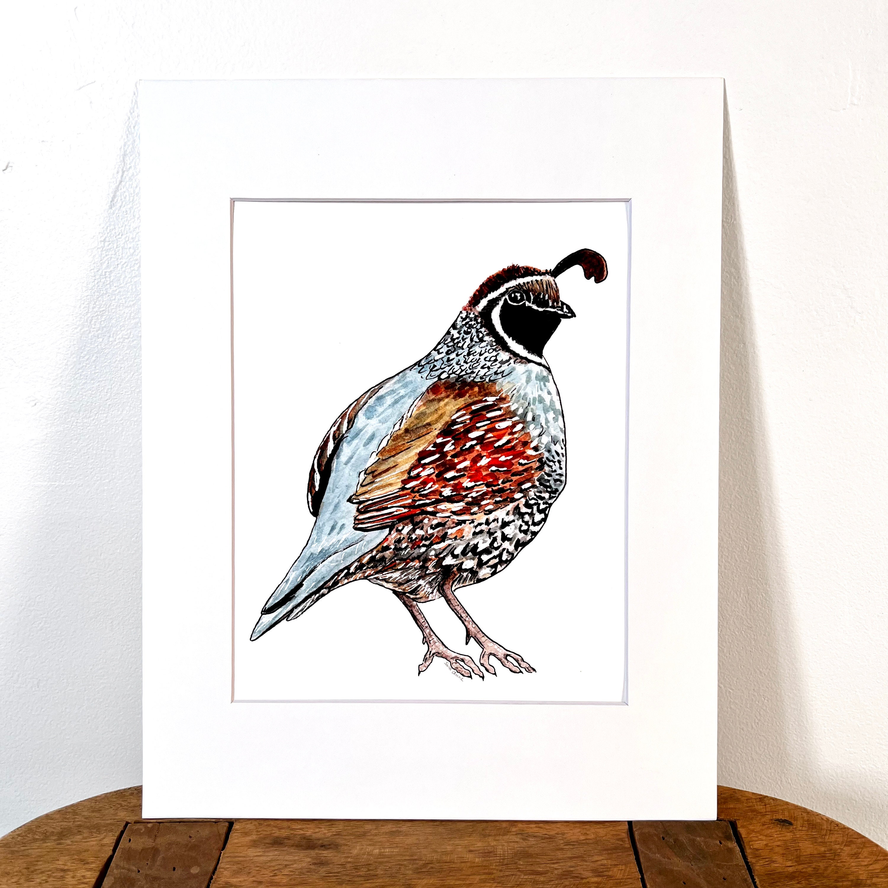 Quail Fine Art Print, Watercolor Nature Print, Bird Print, Wall Art ...