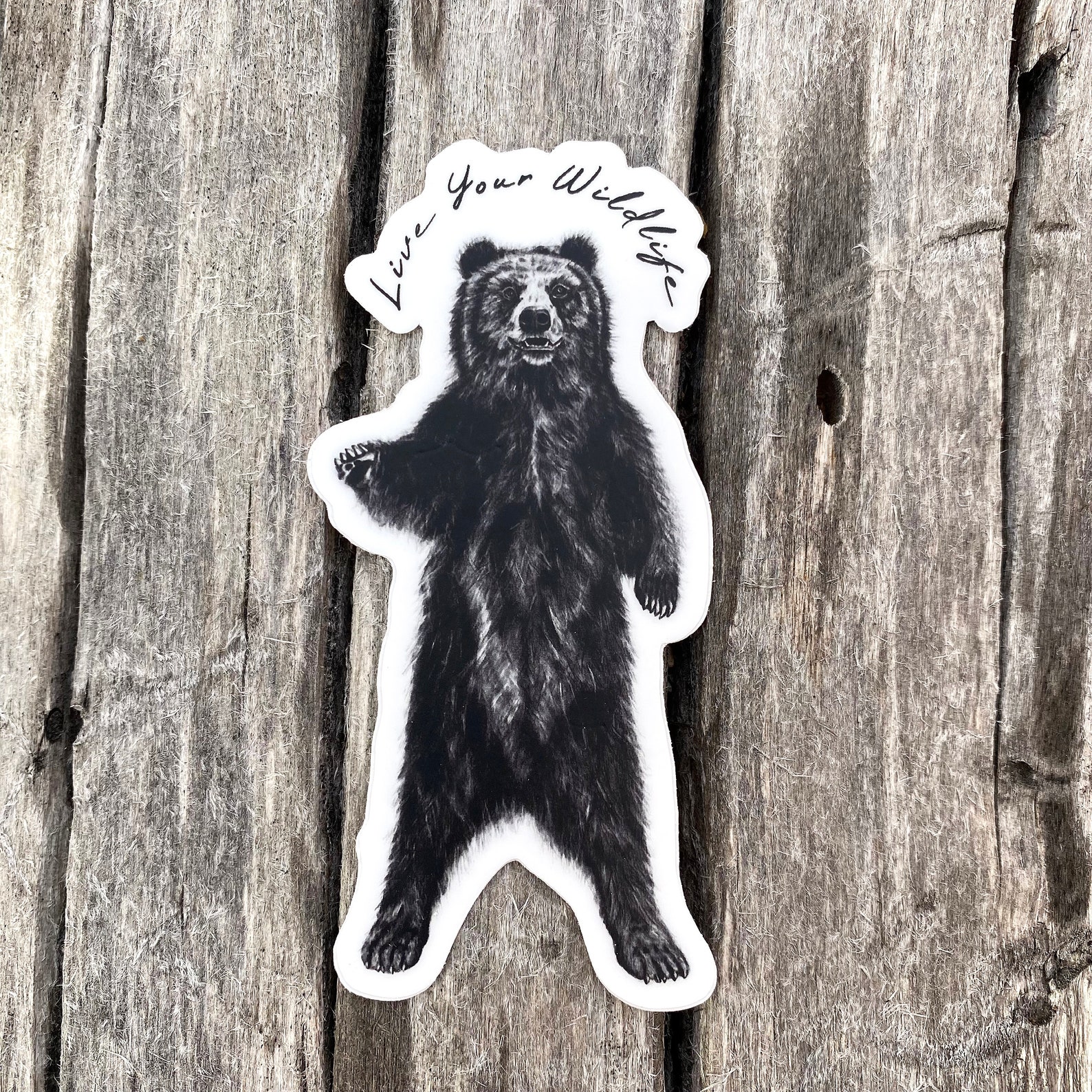 Black Bear Sticker Bear Vinyl Decal Waterproof Sticker Bear - Etsy