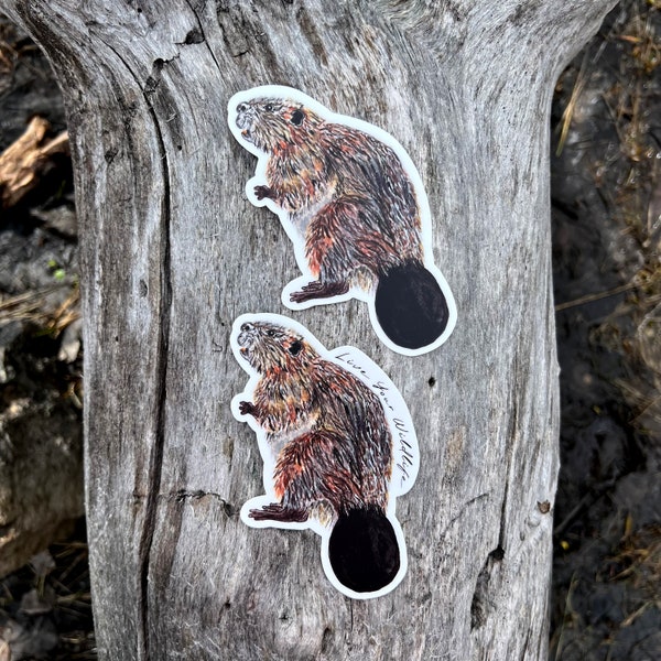 Beaver - Etsy