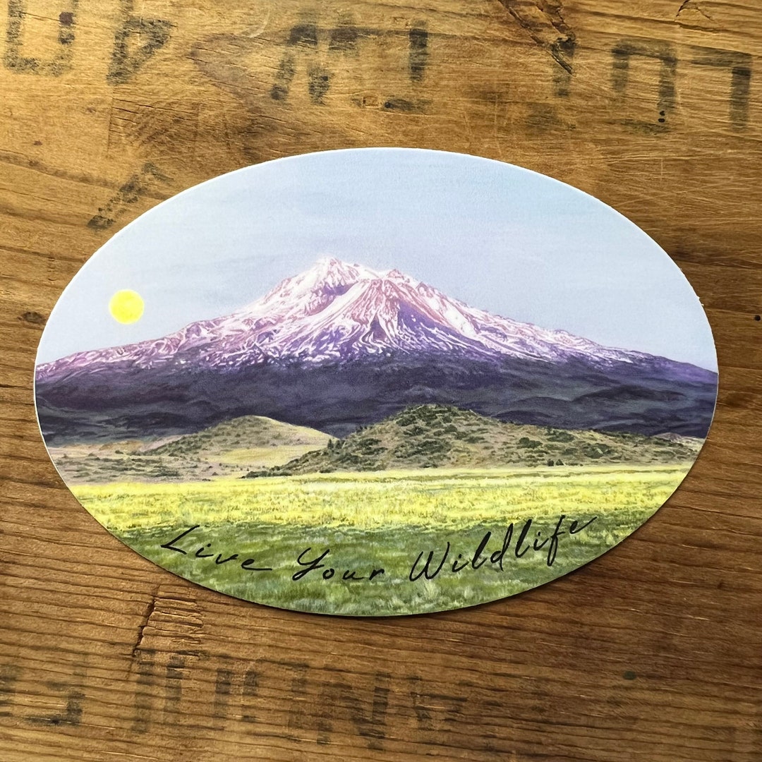 Mt.shasta Vinyl Sticker, Waterproof Vinyl Decal, Mountain Laptop ...