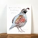 Quail Christian Art Print, You Are My Hiding Place Psalm 32 7, Wildlife ...
