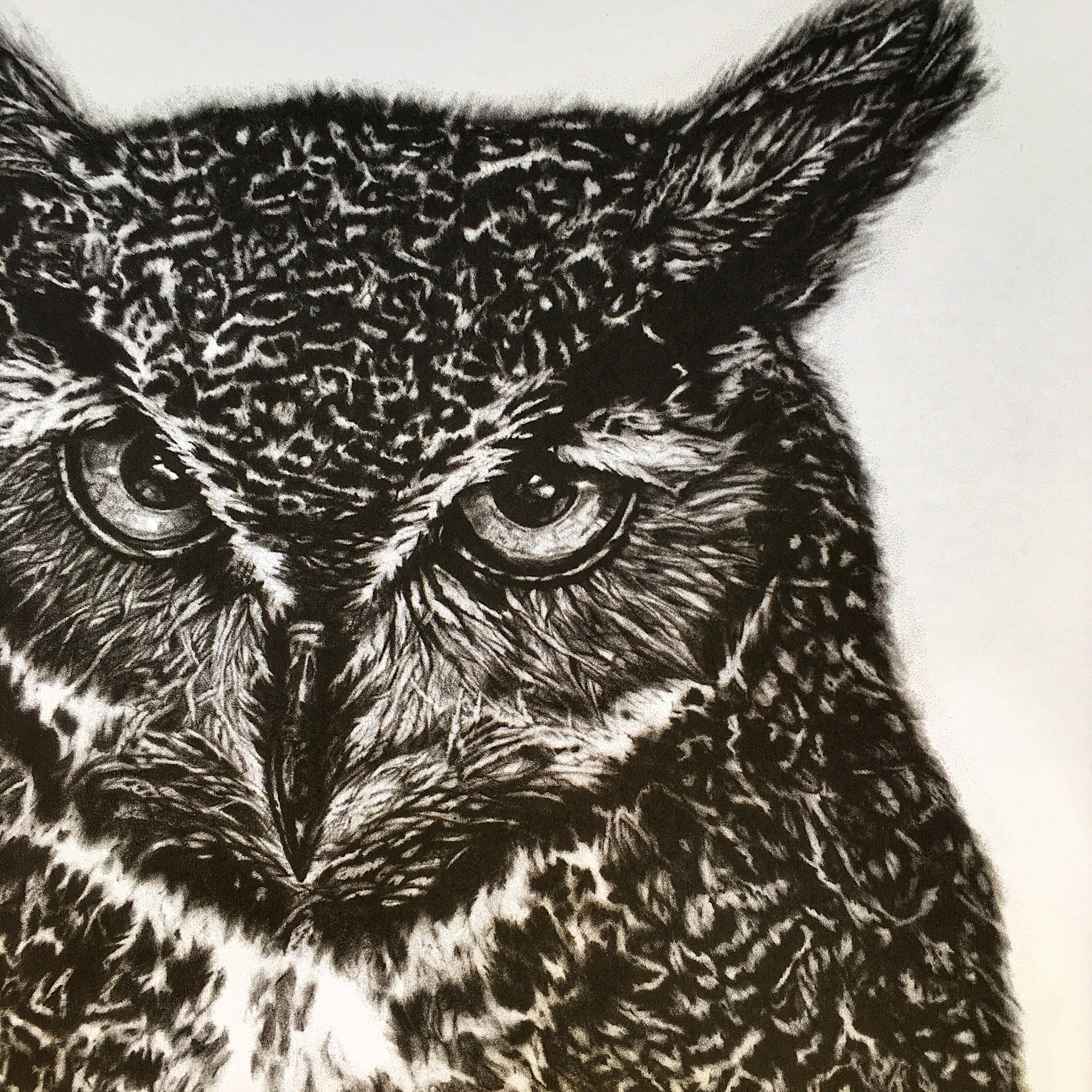 Owl Wall Art Illustration Print, Wildlife Art, Owl Gift Nature Lover ...