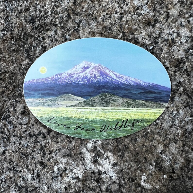 Mt.shasta Vinyl Sticker Waterproof Vinyl Decal Mountain - Etsy