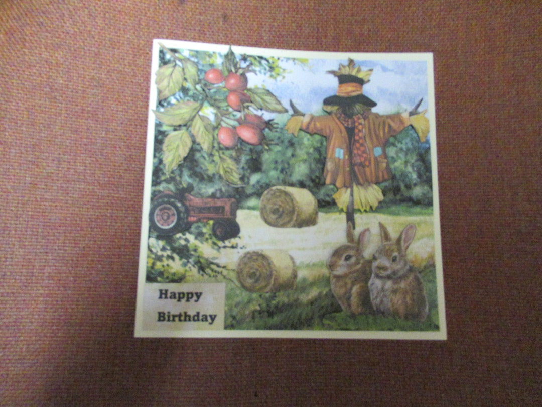 This is a Birthday Card for a Male or Female With a Scarecrow, Rabbits ...