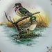 Wood Ducks Water Bird Limited Edition Collector Plate by Edward ...